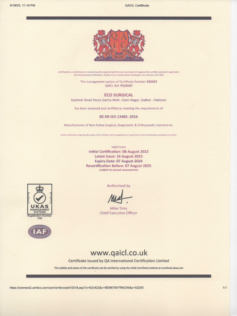 ISO 13485 2023 | PDF