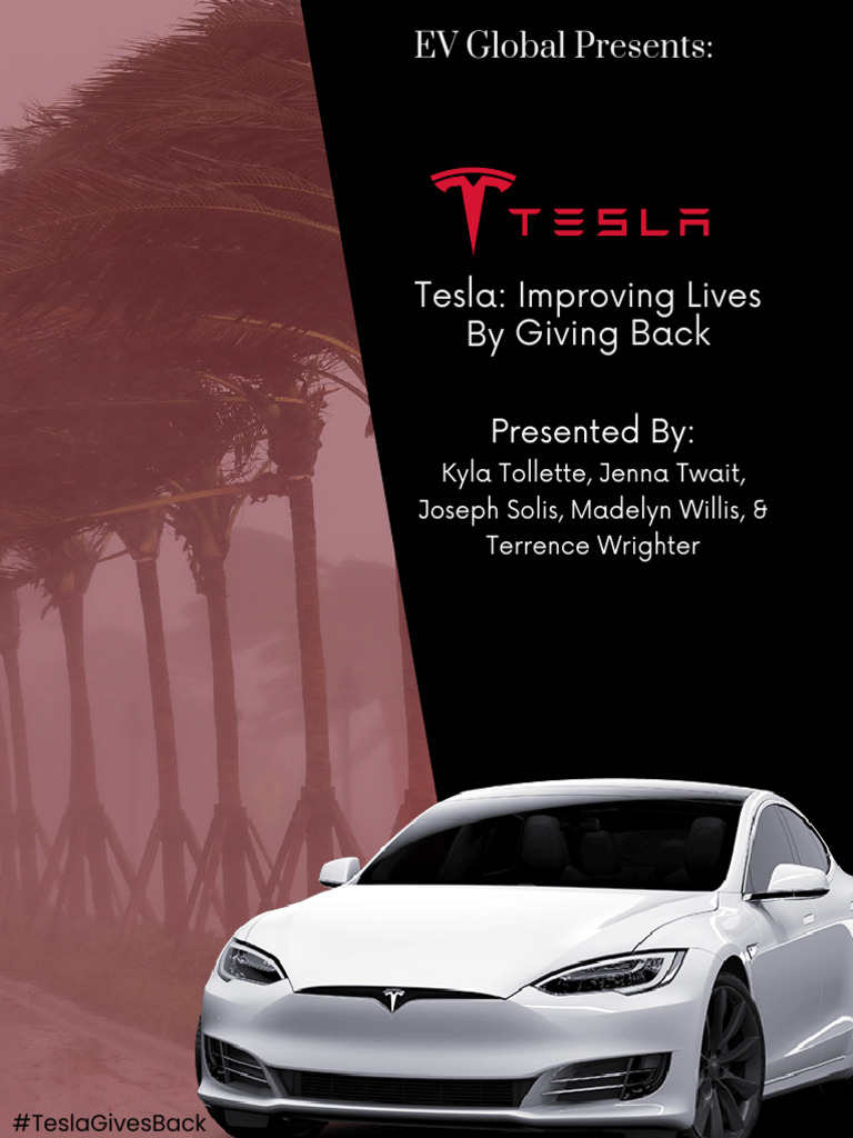 Tesla Mini Campaign | PDF | Electric Vehicle | Elon Musk