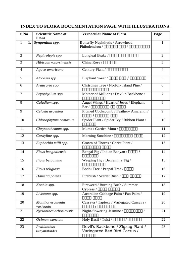 Flora Documentation Index with Illustrations | PDF | Ficus | Plants