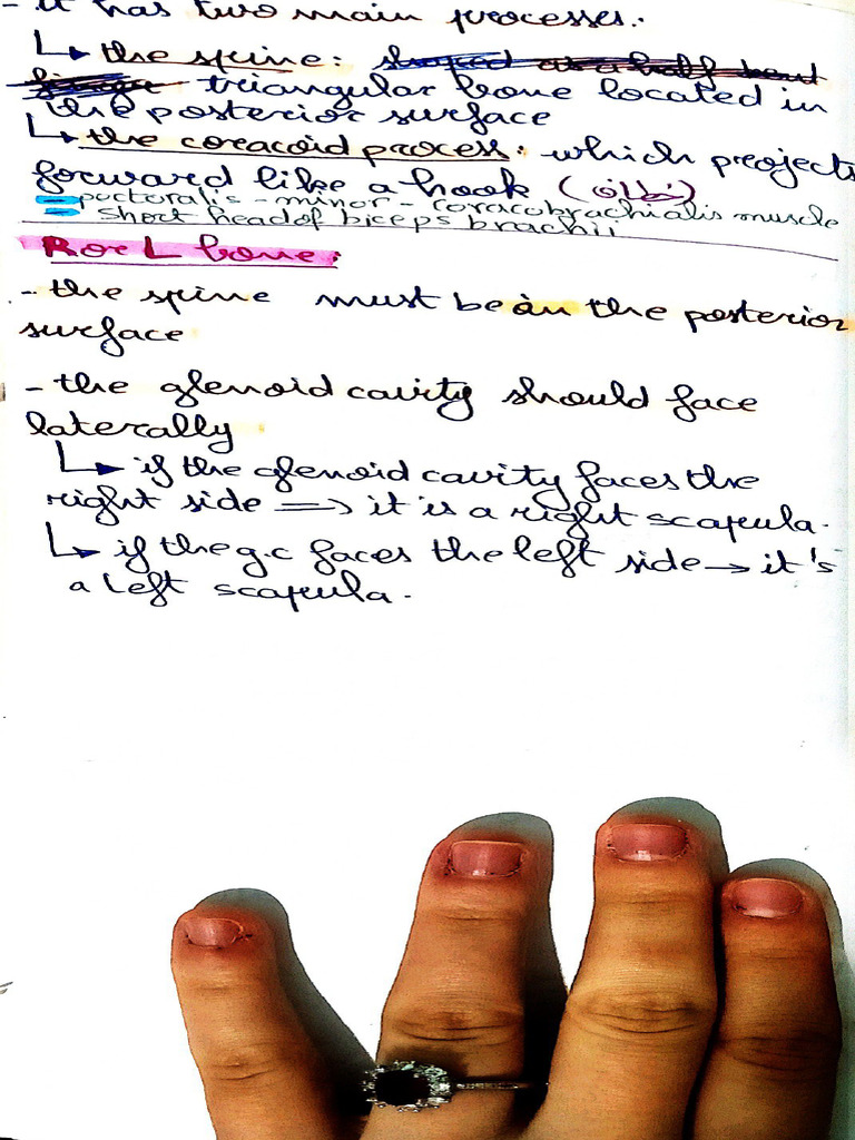 PDFReader_20260104_2134 | PDF