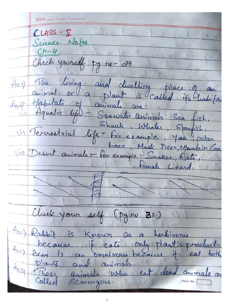 Class 5 Chapter 4 All Check Yourself | PDF