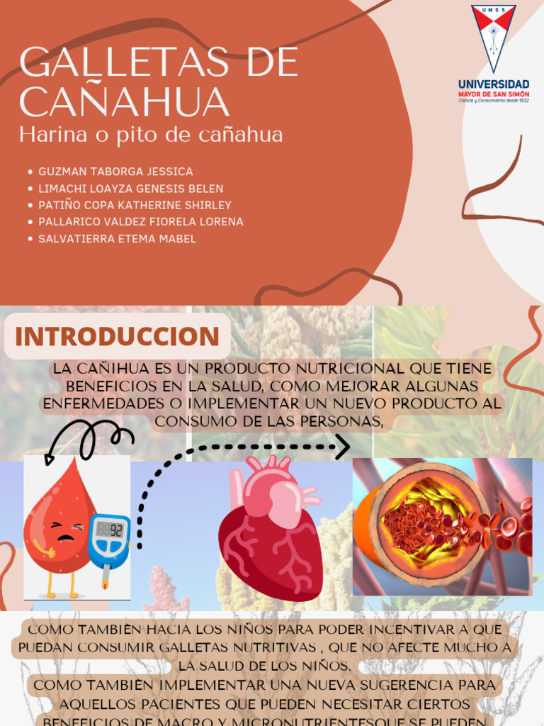 Galletas Nutritivas de Cañihua: Beneficios y Proceso | PDF | Alimentos ...