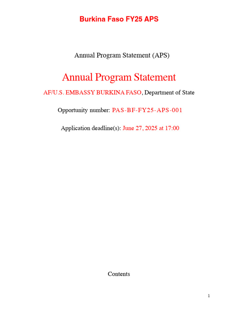 Annual Program Statement BF FY25 Final | PDF | Democracy | Political ...