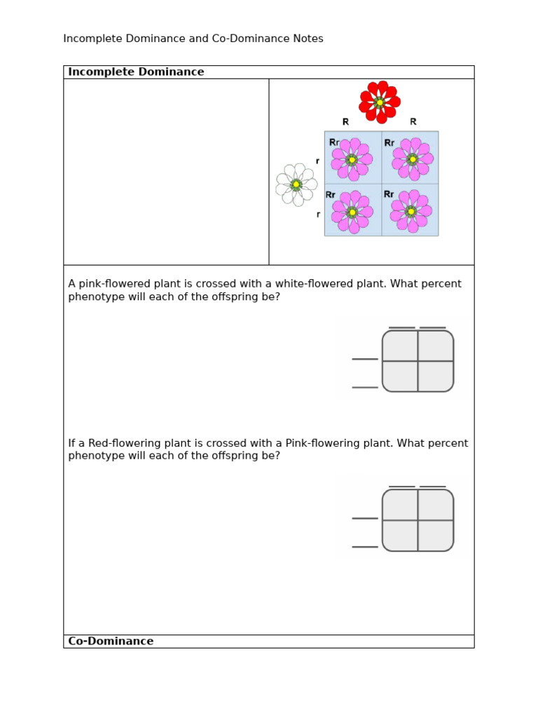 Incomplete Dominance (Blank) | PDF