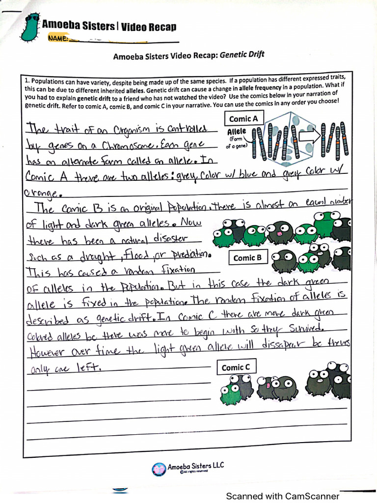 Genetic Drift Notes | PDF