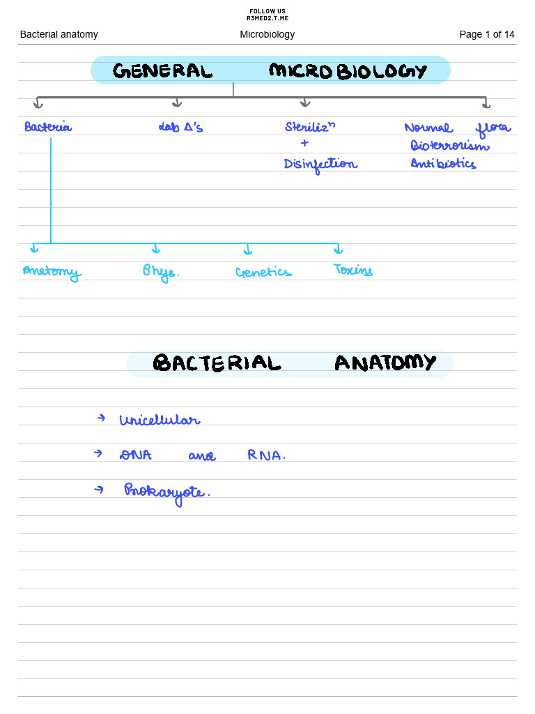 Understanding Bacterial Anatomy | PDF