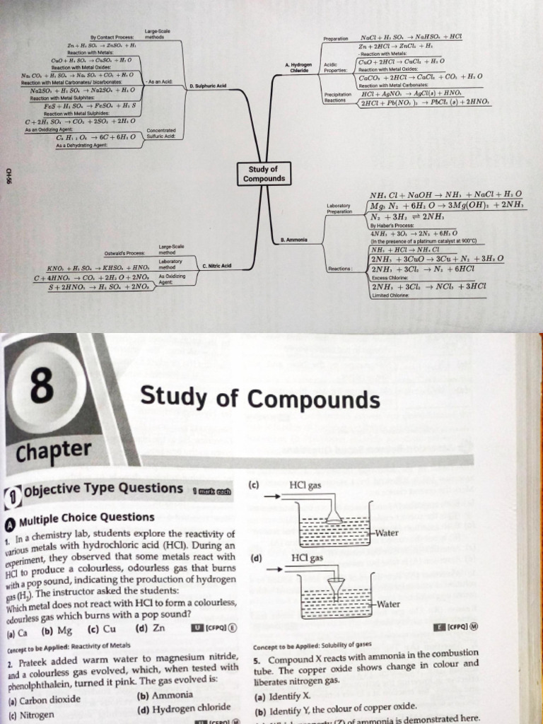 Chapter-8 ( Chemistry) | PDF | Sulfuric Acid | Acid