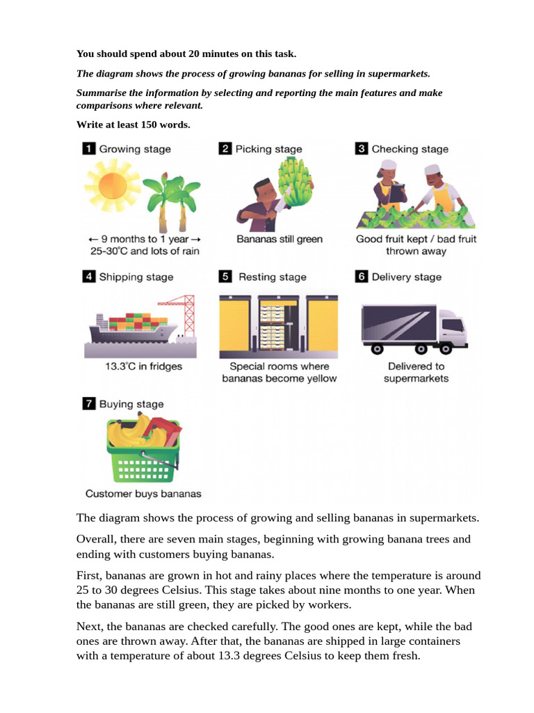 Writing Task 1-Unit 1-Lý Hải Tùng | PDF