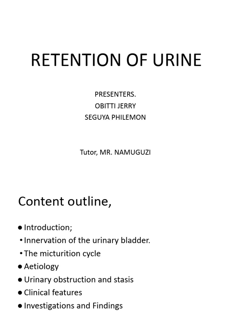 Understanding Urinary Retention Causes | PDF | Urination | Urinary ...