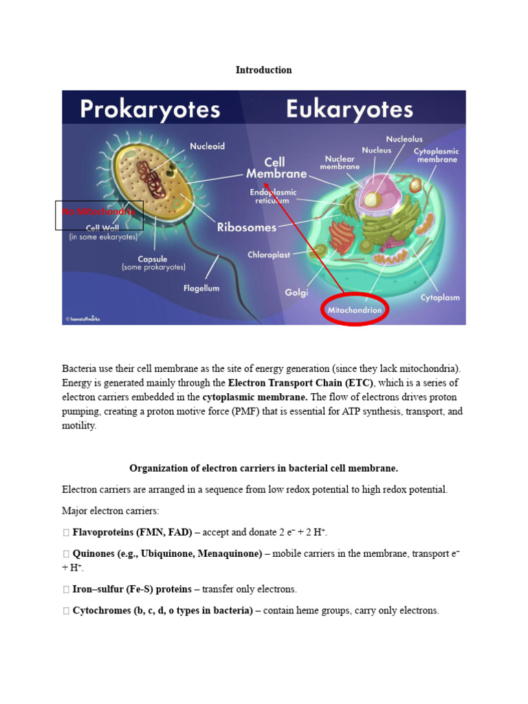 Bacterial Electron Transport | PDF | Electron Transport Chain ...