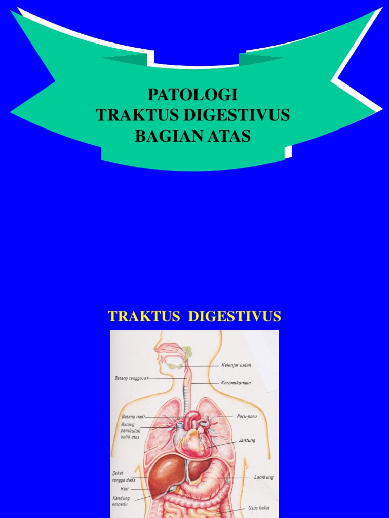 Dr. Prijono Traktus Digestivus Bagian Atas | PDF | Kesehatan Holistik ...