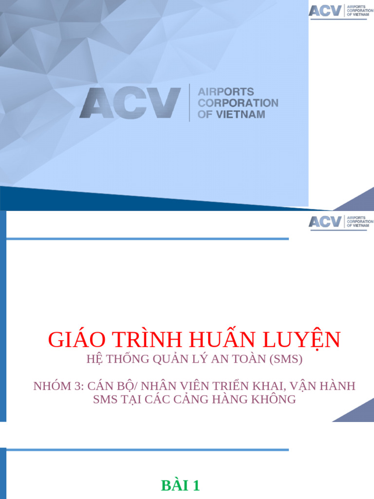 Bài 1 - Yêu Cầu Icao - Caav (Sms -Ssp) | PDF