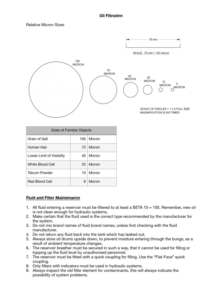 Relative Micron Sizes | PDF