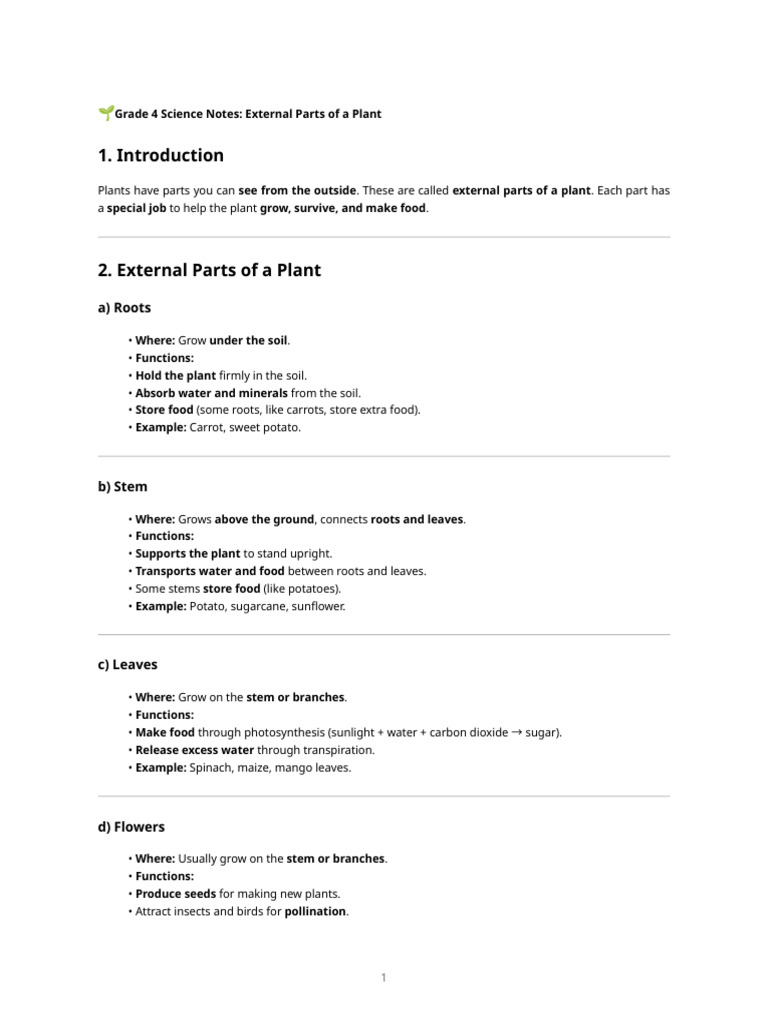 Grade 4 Plant Parts Overview | PDF