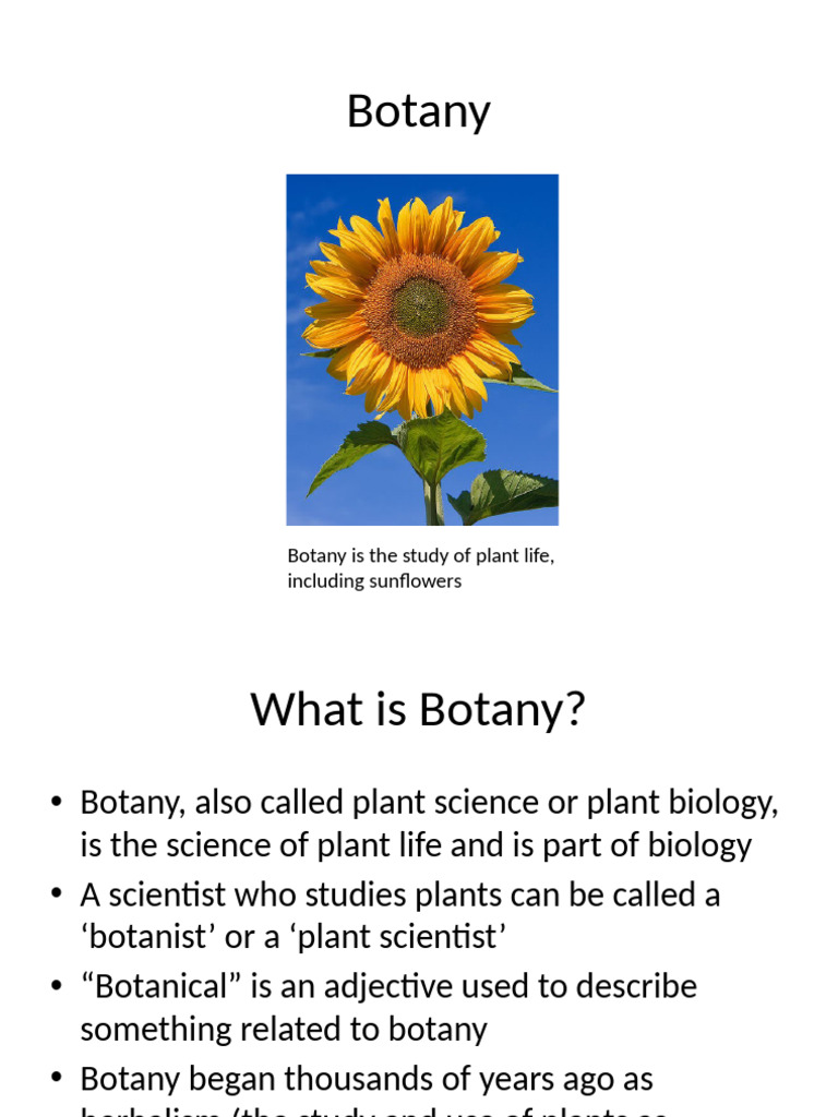 Understanding Botany: The Science of Plants | PDF | Botany | Plants