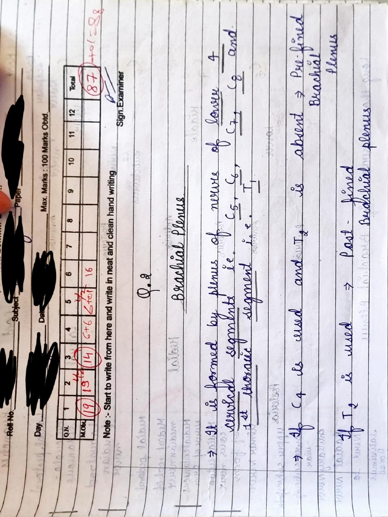 Topper's Anatomy Answer Sheet | PDF | Foot | Knee