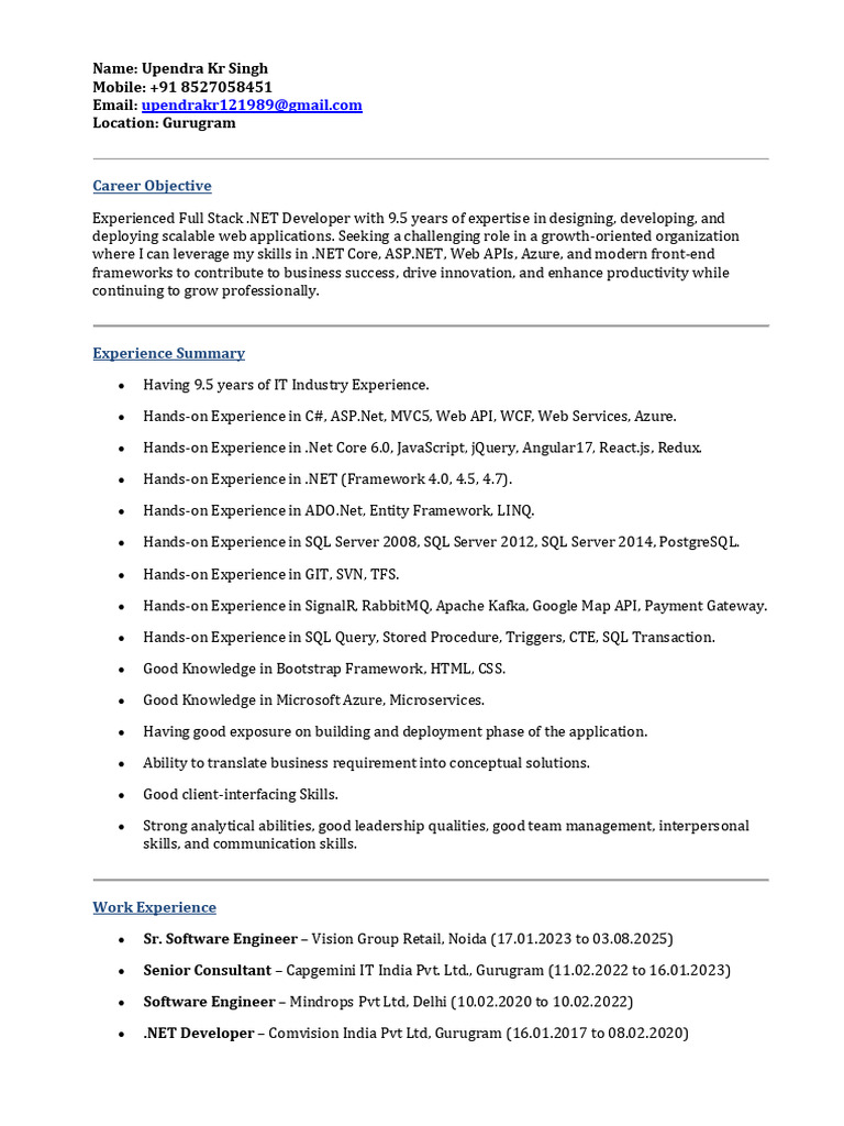 Full Stack .NET Developer Resume | PDF | Entity Framework | Language ...