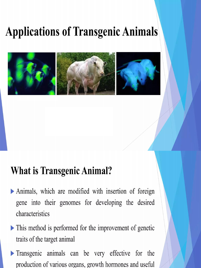 Chapter 7.2 Transgenic Animals | PDF