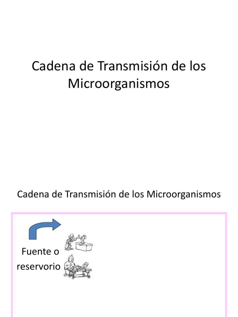 Cadena de Transmision | Microorganismo | Infección