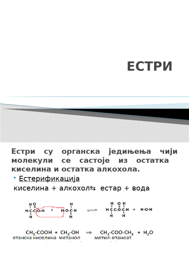 Estri | PDF