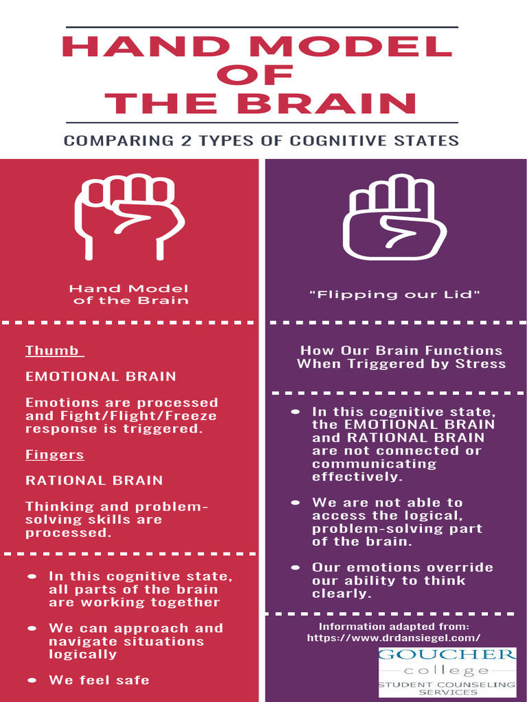 Hand Model of The Brain | PDF