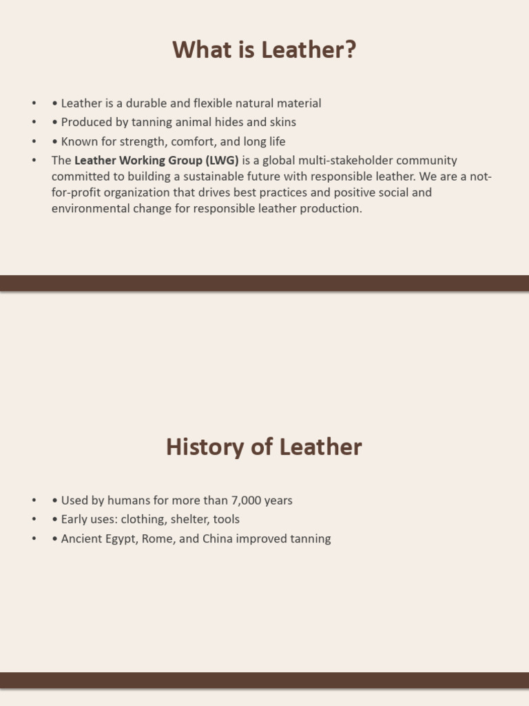 Attractive Introduction to Leather | PDF | Leather