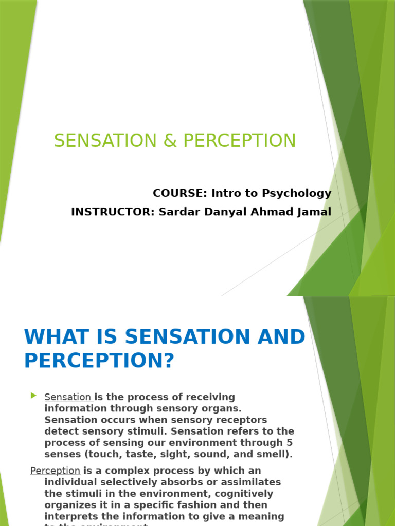 Sensationa and Perception | PDF | Perception | Senses