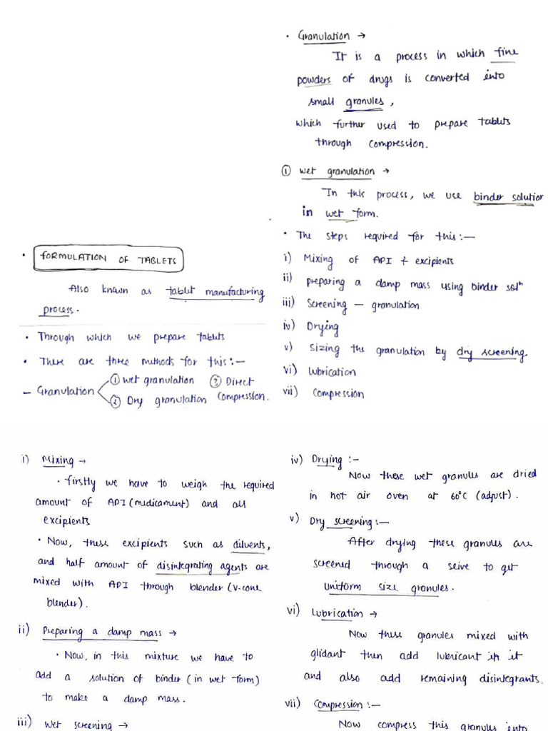 Drug Formulation and Processing Guide | PDF