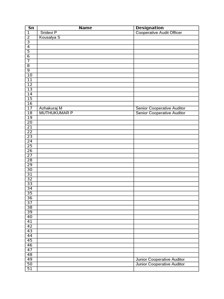 Auditor Name List-Eng | PDF
