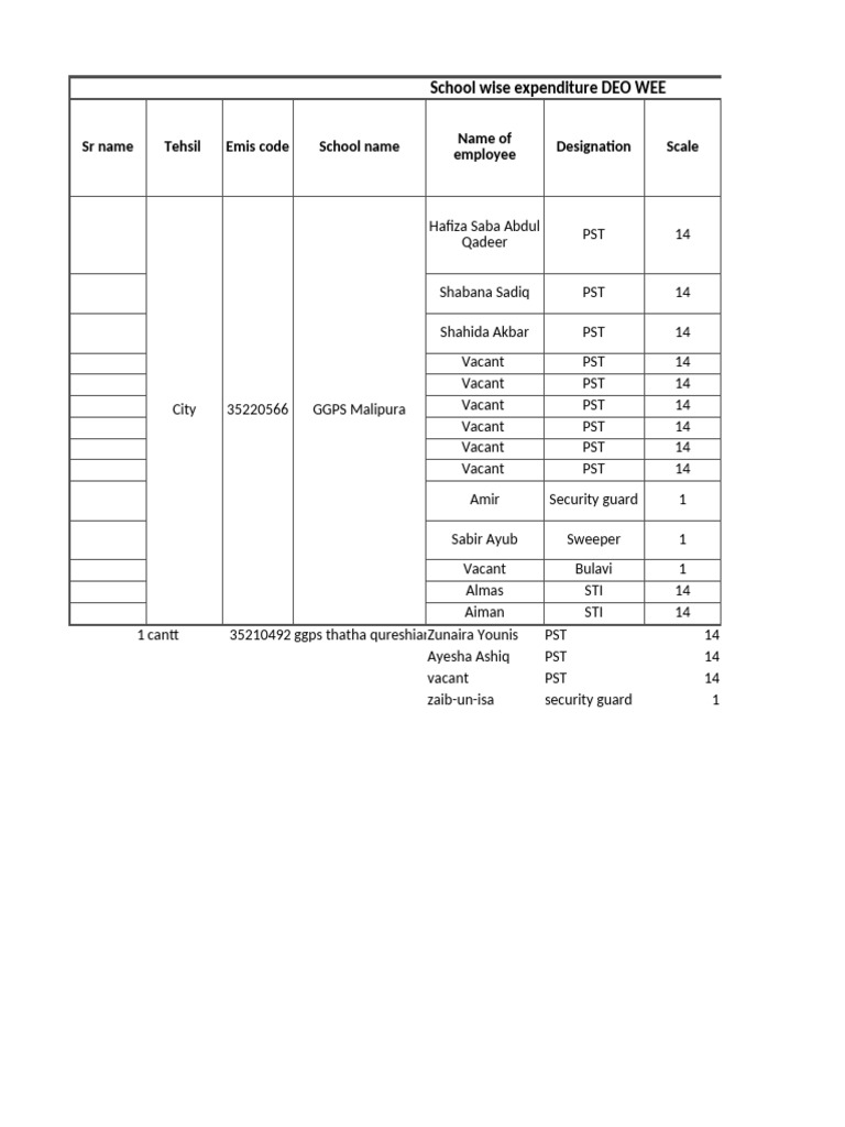 School Expenditure Report DEO WEE | PDF