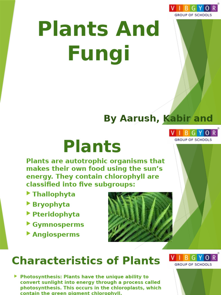 Biology Project Term 2 (Plantae and Fungi) | PDF | Plants | Fungus