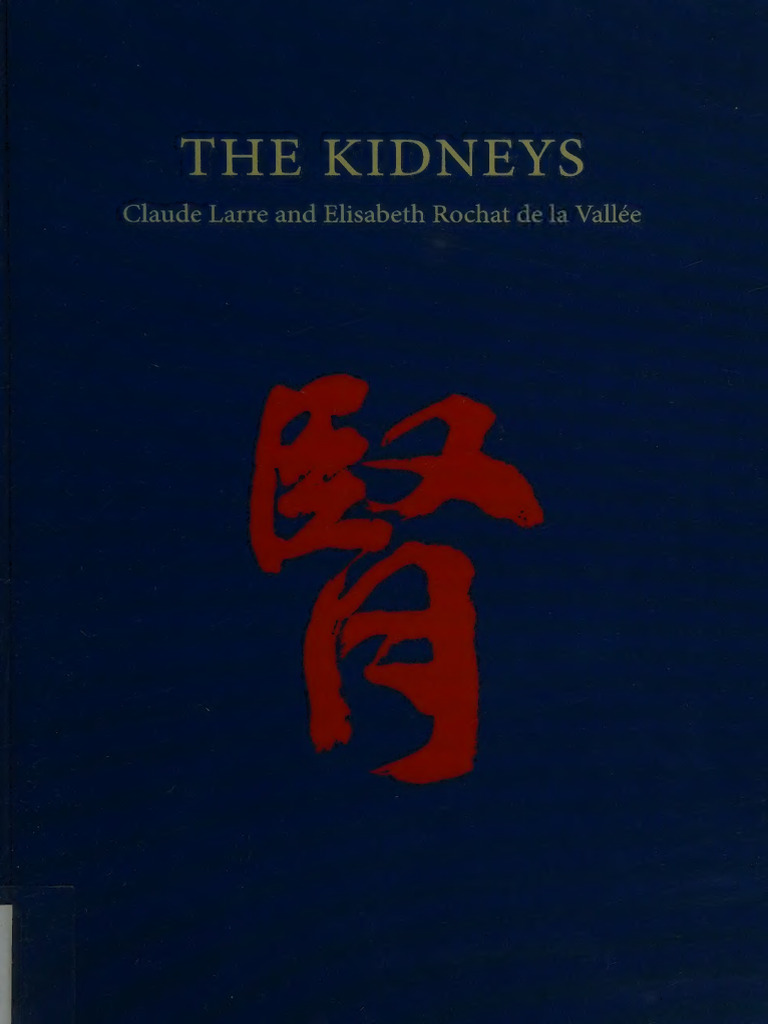 Understanding Kidneys in Chinese Medicine | PDF | Traditional Chinese ...