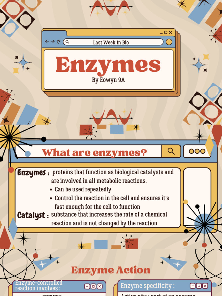 An IGCSE Biology Presentation Regarding Enzymes | PDF | Enzyme | Active ...