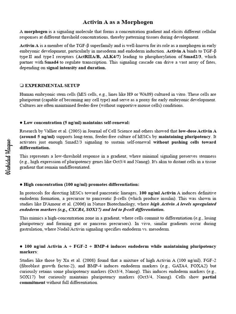 Activin a as a Morphogen | PDF | Cellular Differentiation | Cell Nucleus