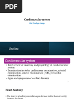 Cardiovascular Assessment Documentation Guide | PDF