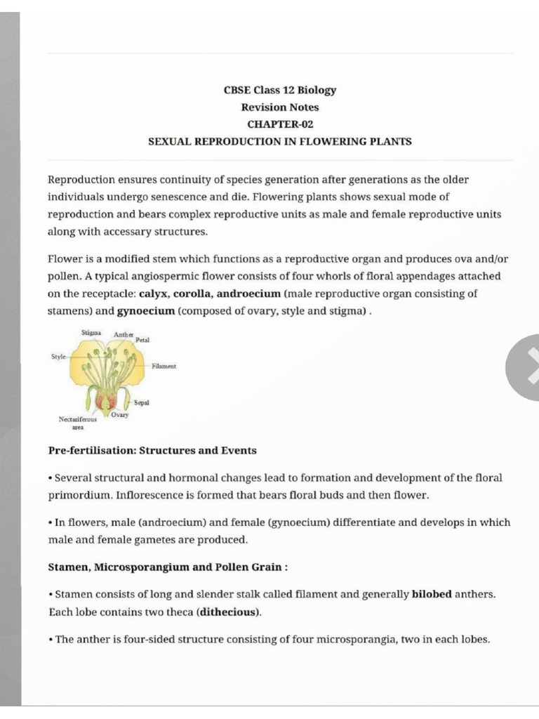 Sexual Reproduction in Plants Notes PDF | PDF