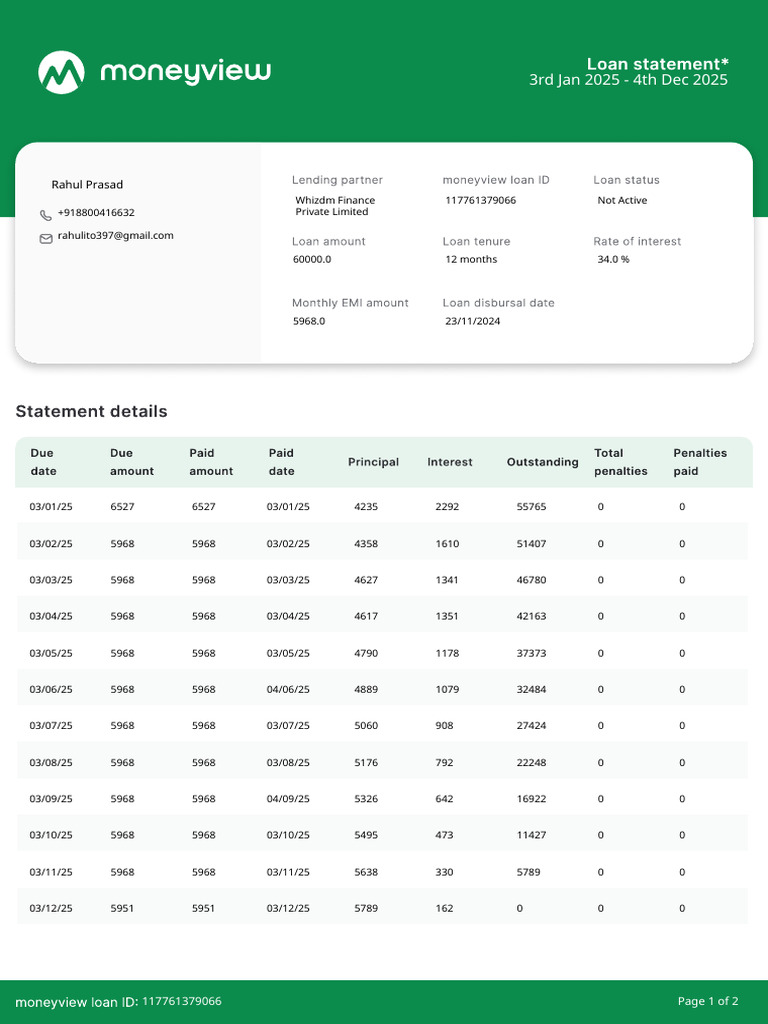 Loan Statement Summary for Rahul Prasad | PDF | Monetary Economics ...