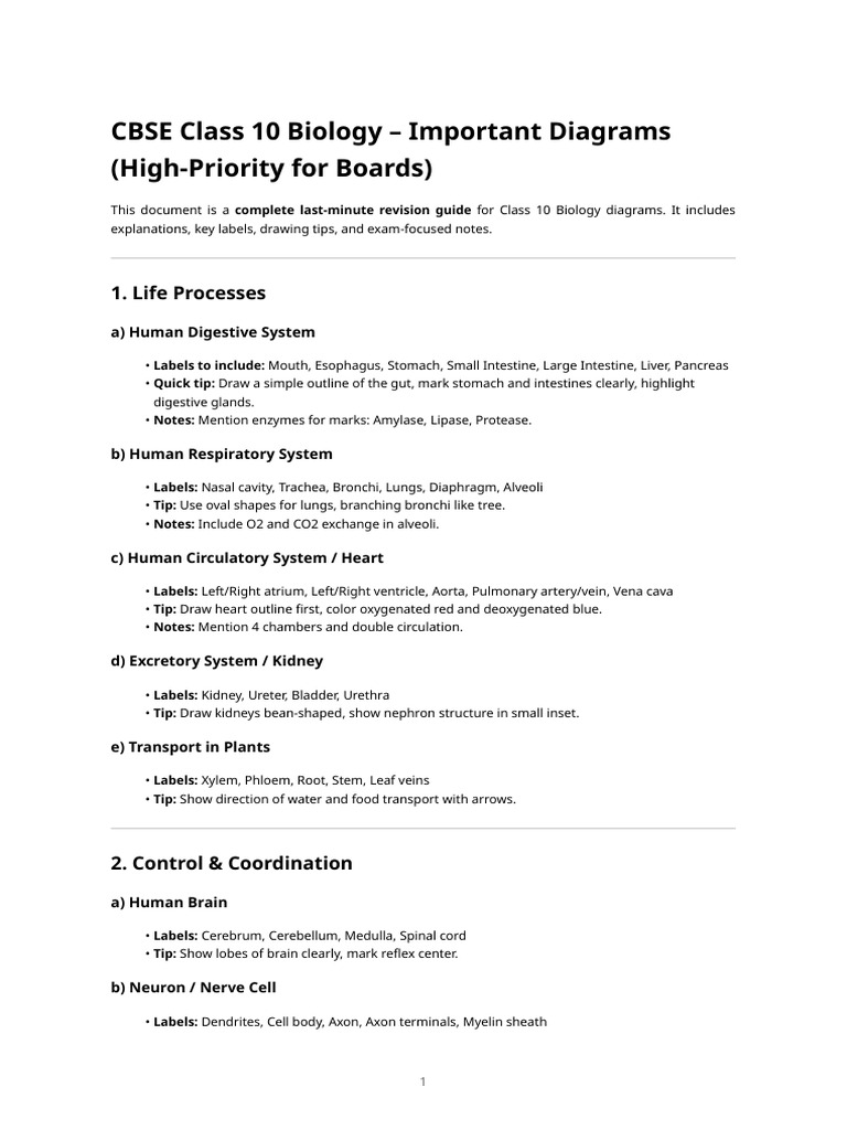Cbse Bio Diagrams Cheatsheet (1) | PDF | Lung | Circulatory System