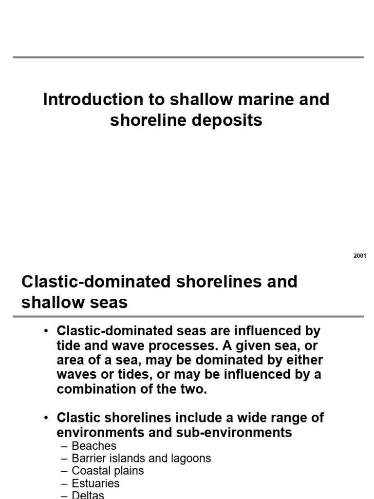 Shallow Marine and Shoreline Deposits | PDF | Tide | Coast