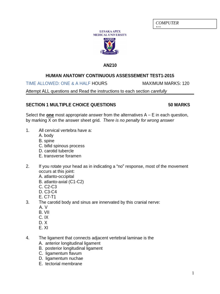 Human Anatomy Assessment Test 2015 | PDF | Vertebra | Skull