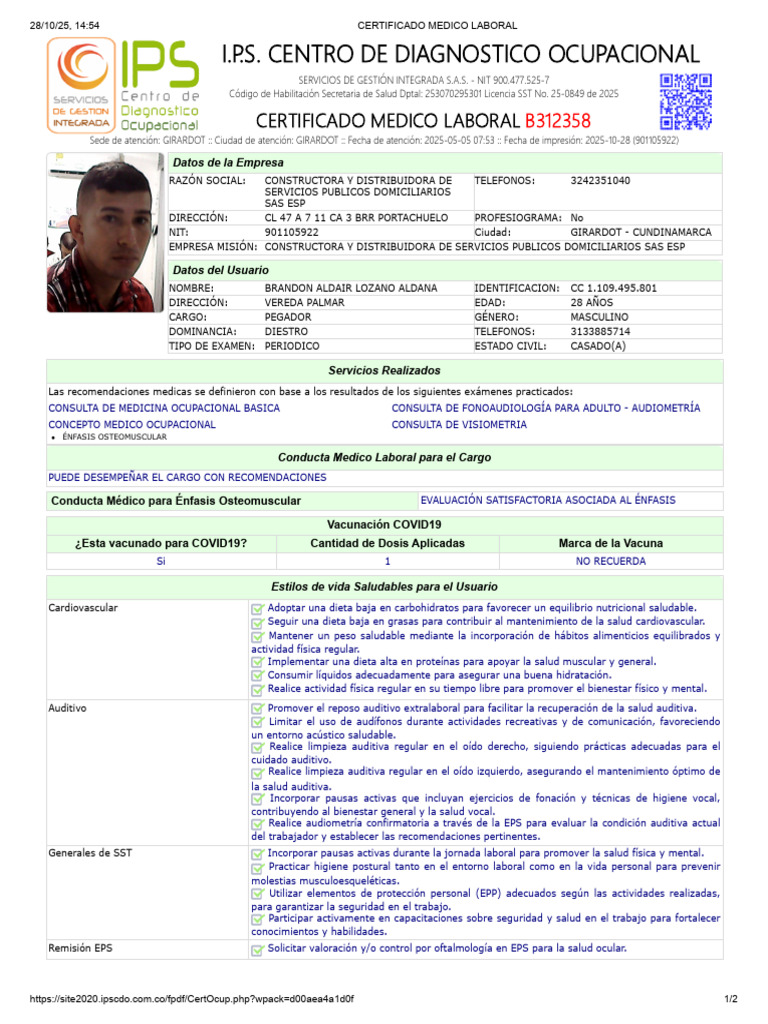 Certificado Medico Laboral - Brandon Lozano 2 | PDF | Dieta | ruido