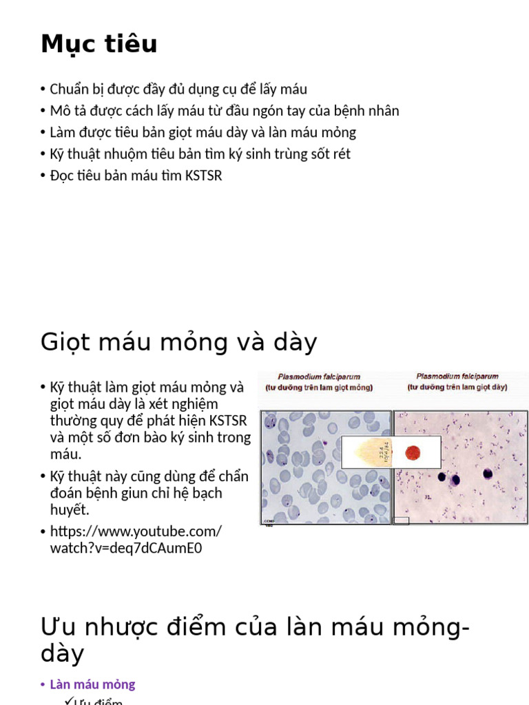 Bai 2 Ky Thuat Chuan Bi Va Nhuom Lam Mau | PDF
