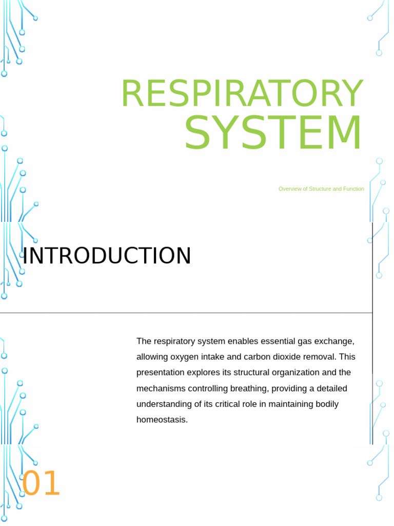 Structural Organization of Respiratory System | PDF | Respiratory ...