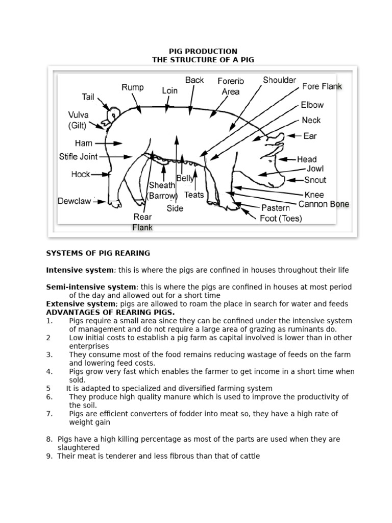 Comprehensive Guide to Pig Farming | PDF | Pig