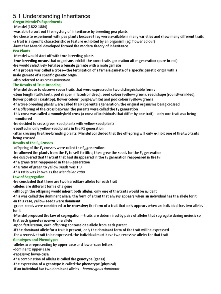 Bio Chapter 5 Notes (Grade 11) | PDF | Dominance (Genetics) | Allele