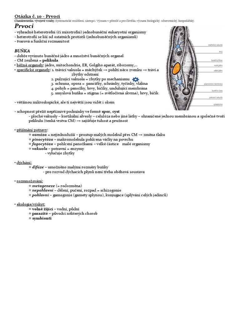 Biologie - c.10 - Prvoci | PDF