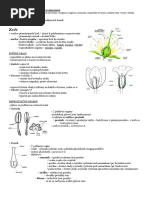 BBCH Stupnice | PDF