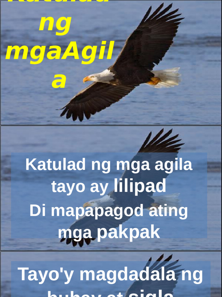 Katulad Ng Agila | PDF