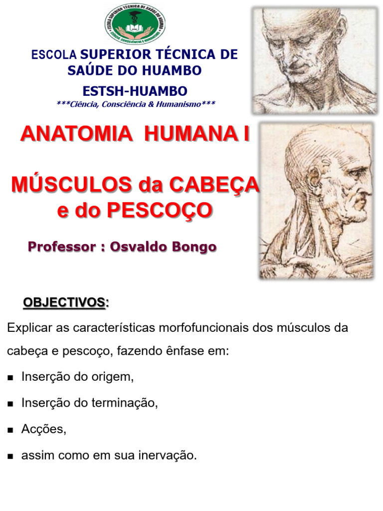 Músculos da Cabeça e Pescoço: Anatomia | PDF | Vértebra | Anatomia humana