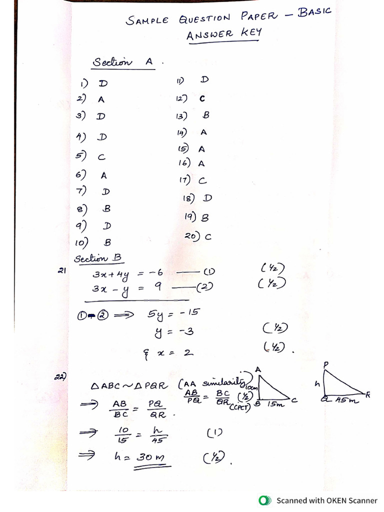 Sample Paper - BASIC Answer Key (1) | PDF